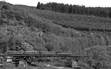 Wenne stop - fish belly girder bridge
